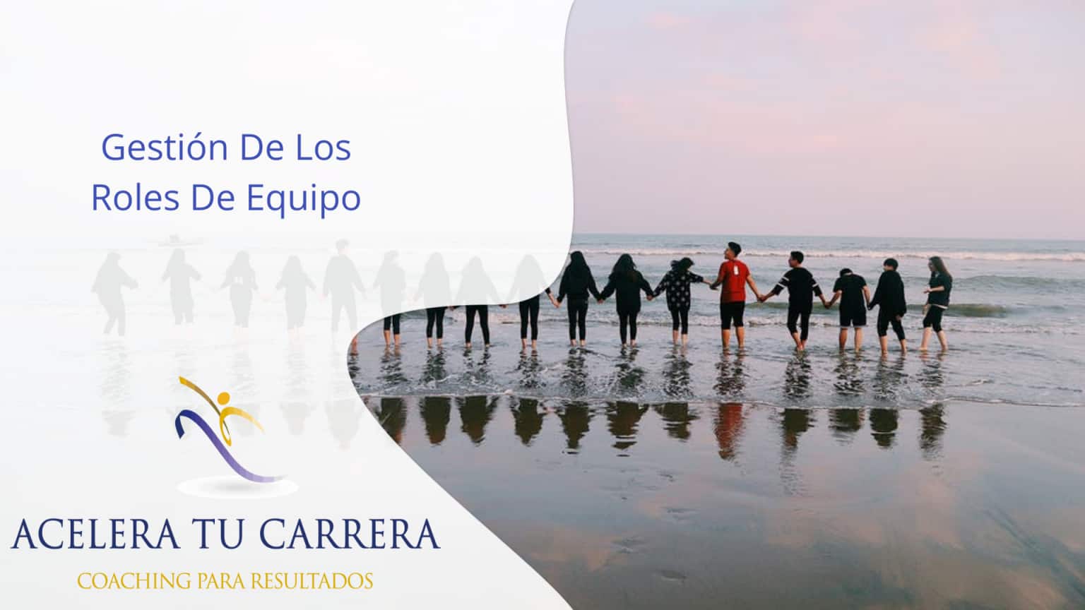 Gestión De Los Roles De Equipo